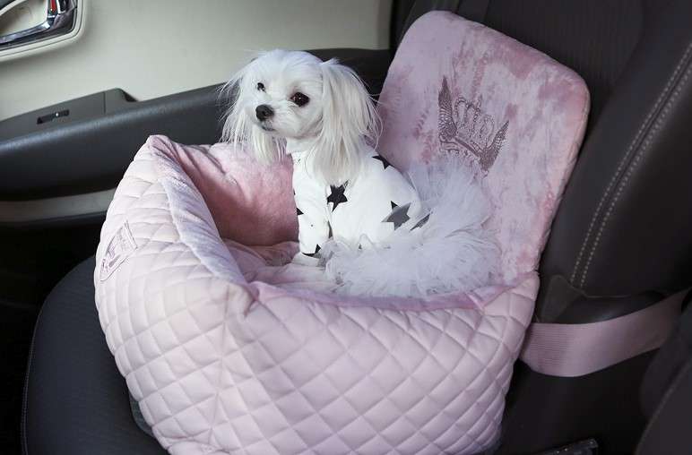Luxus Hunde Autositz